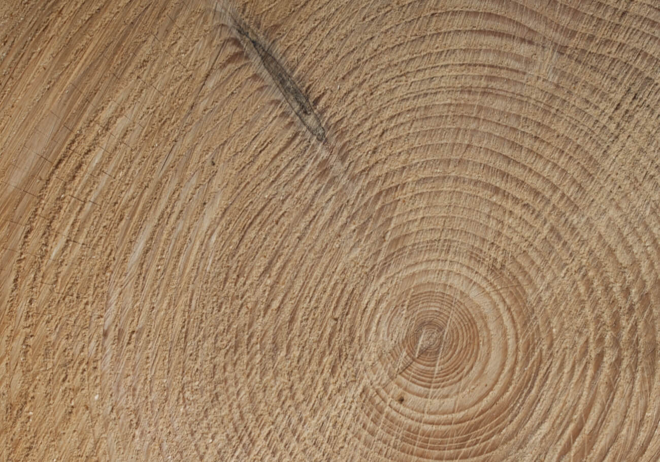 Puertas de entrada de madera » Calidad sólida | PIRNAR